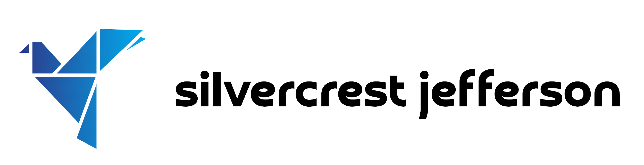 Investment Strategies | SJF